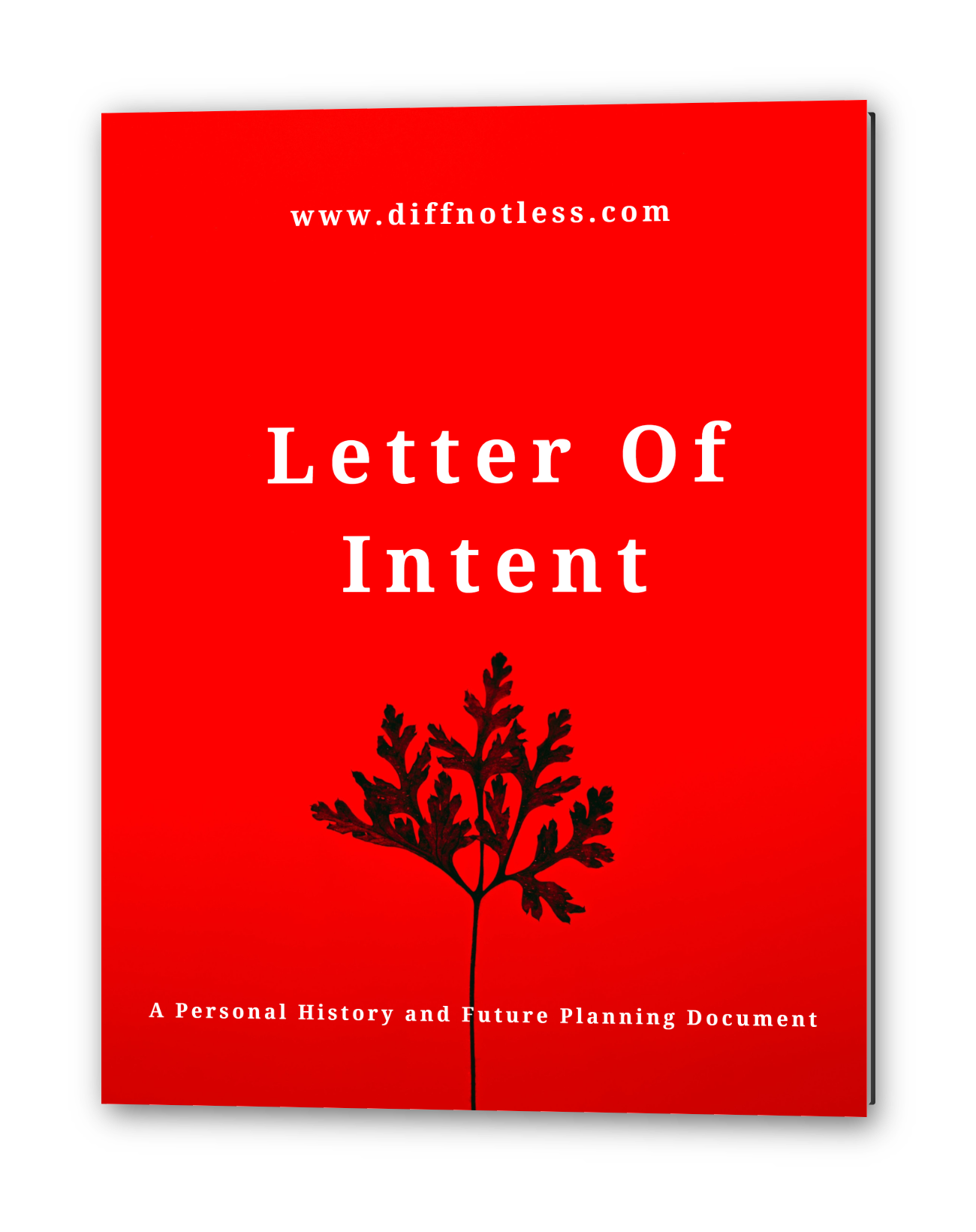 Letter Of Intent